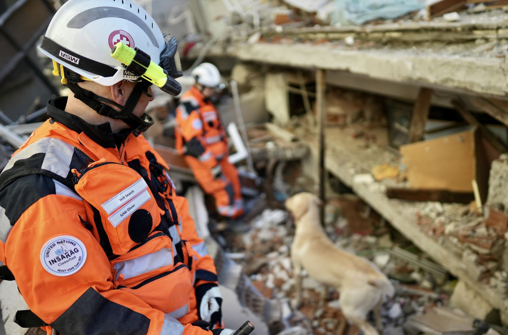 REDOG dans l'image – REDOG