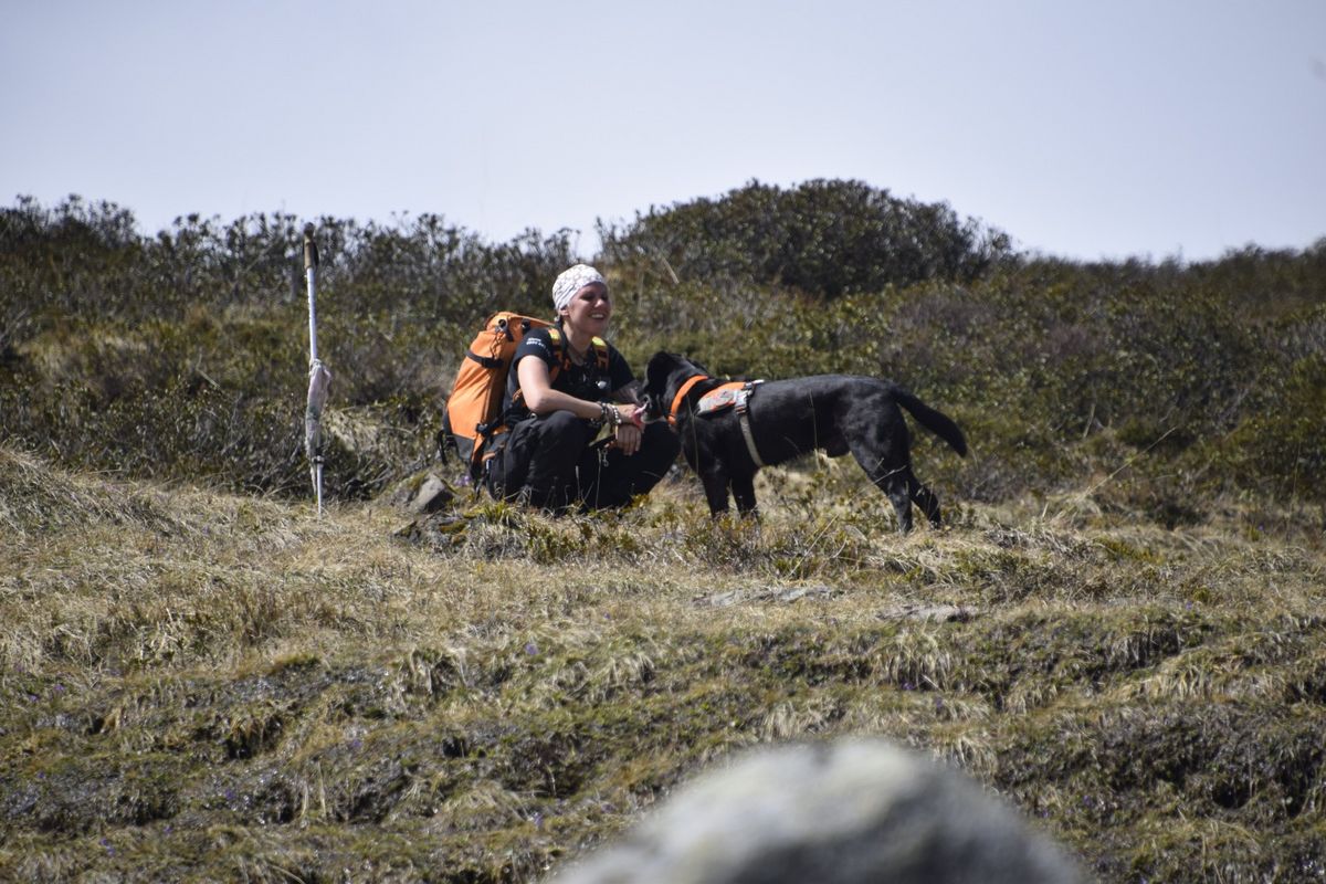 Ces équipes ont confirmé leur aptitude à la recherche en surface en 2023 – REDOG