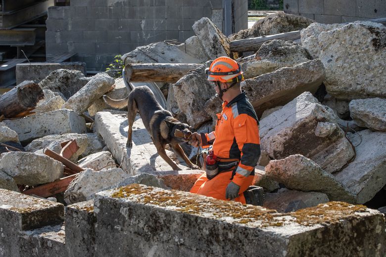 Neue einsatzfähige Teams in der Verschüttetensuche 2023 – REDOG