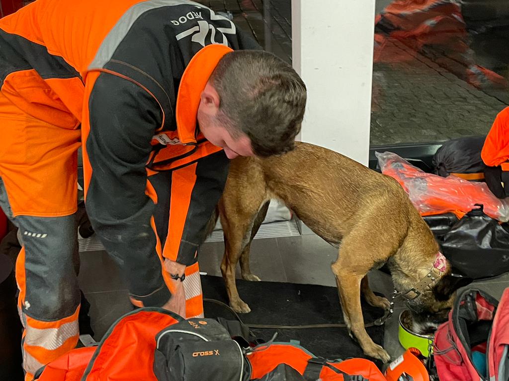 REDOG dans l'image – REDOG